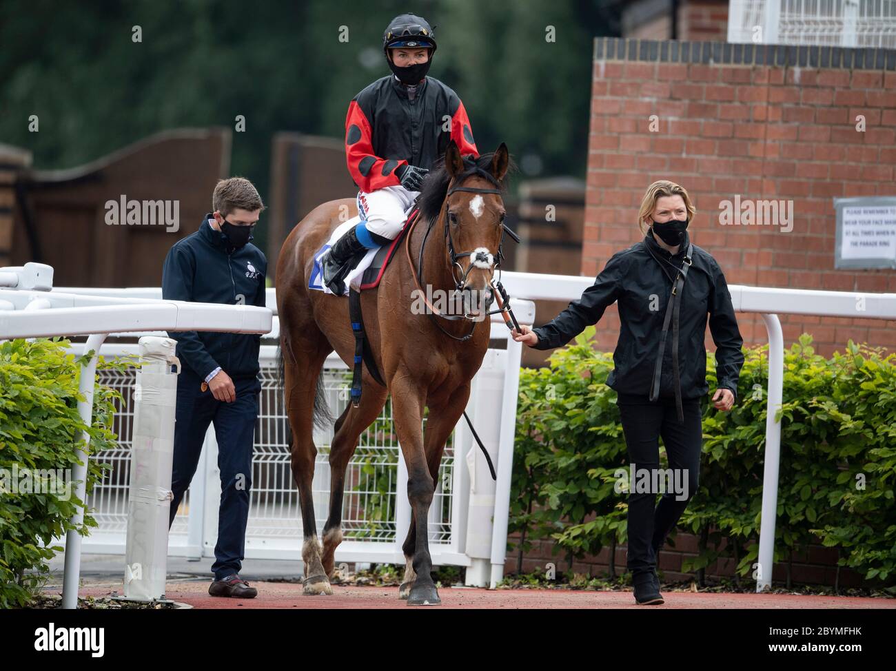 Christopher wood horse hi-res stock photography and images - Alamy