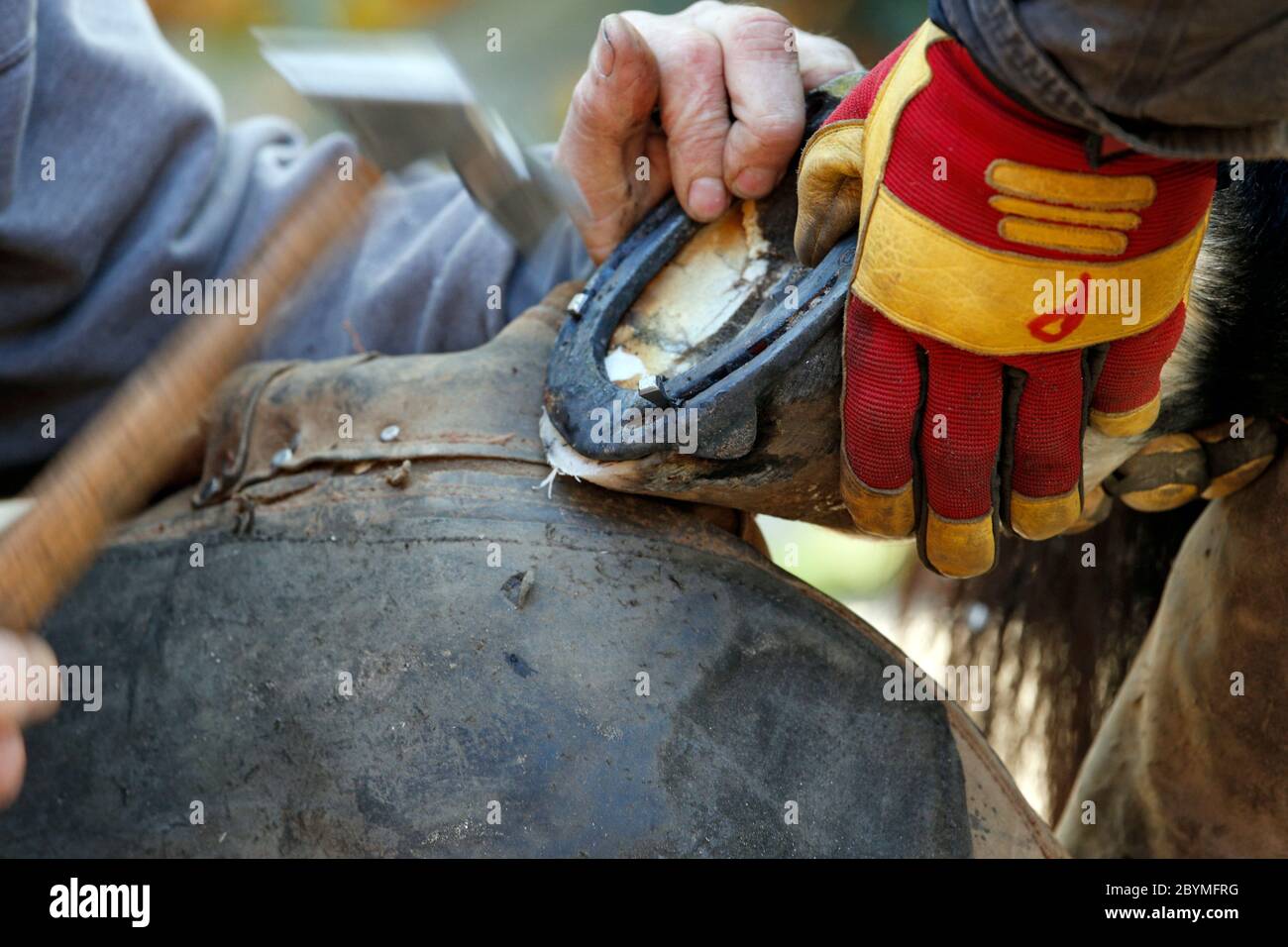 Hoof iron hi-res stock photography and images - Alamy