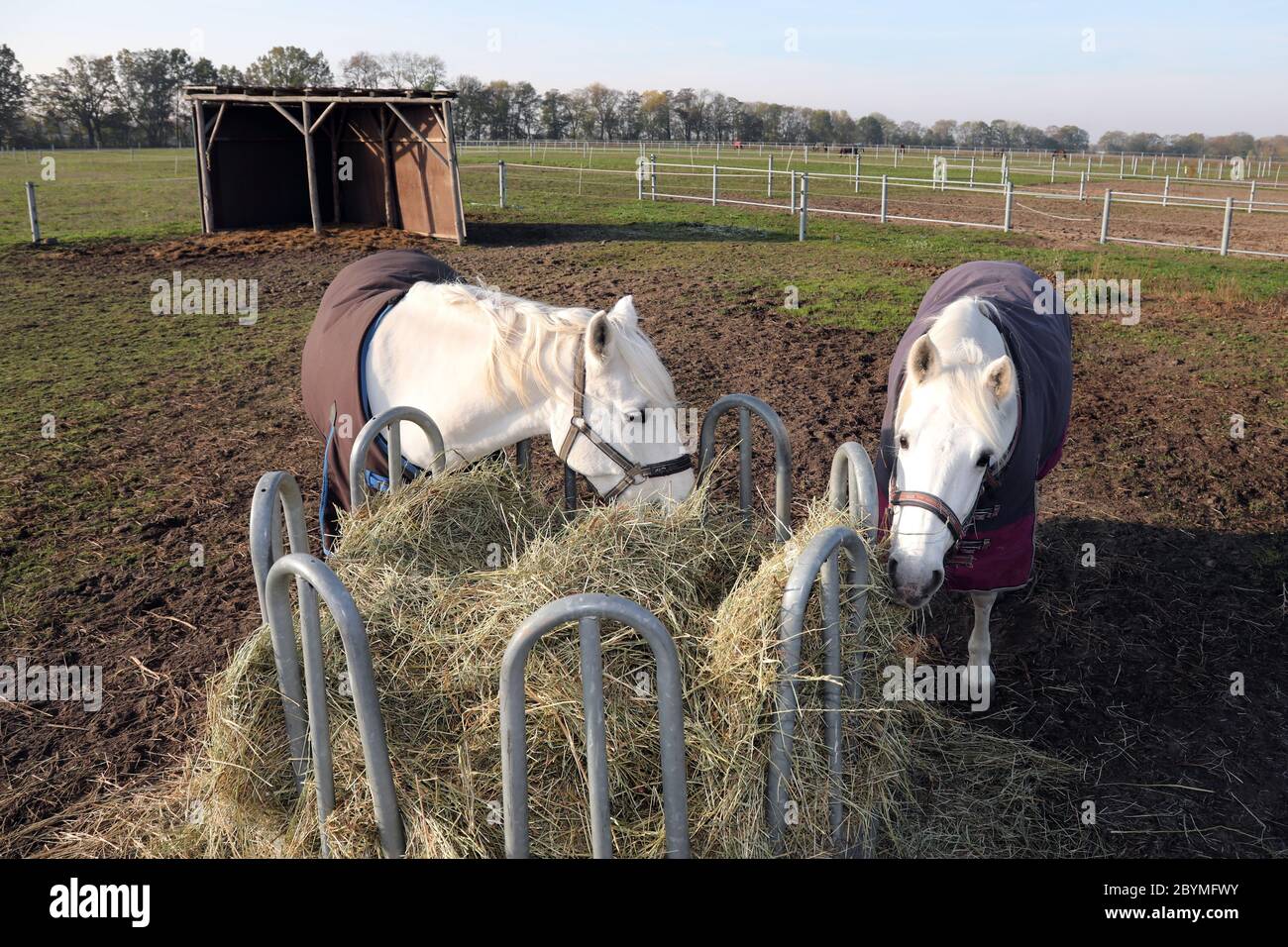 Round bale hay rack hi-res stock photography and images - Alamy