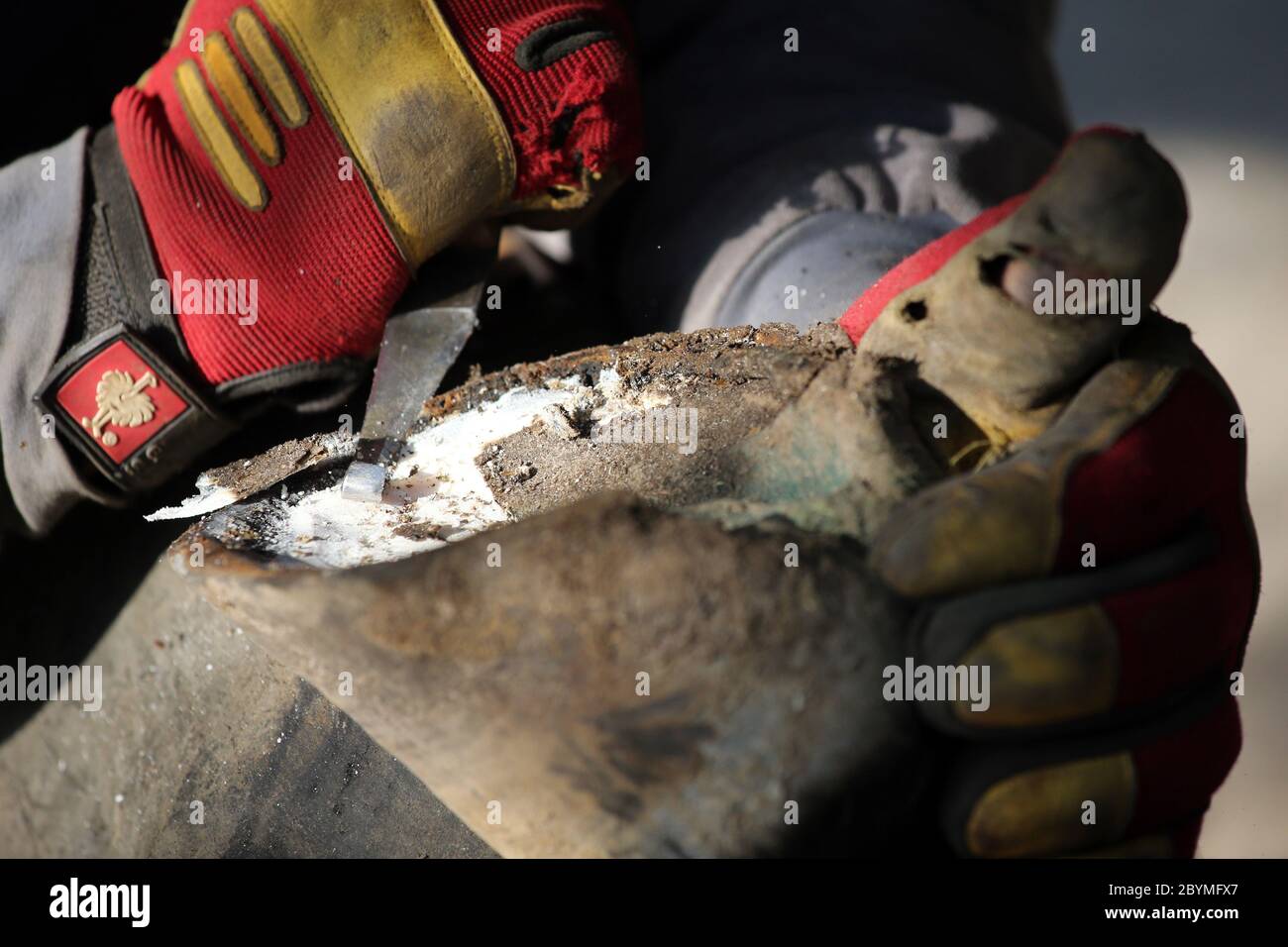 Hoof knife hi-res stock photography and images - Alamy