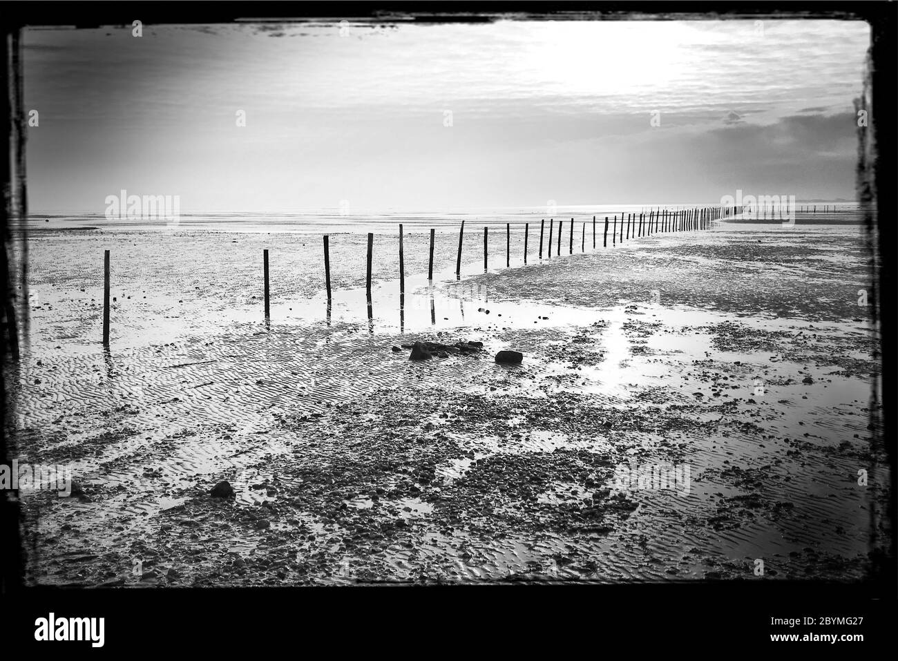 Island föhr hi-res stock photography and images - Alamy