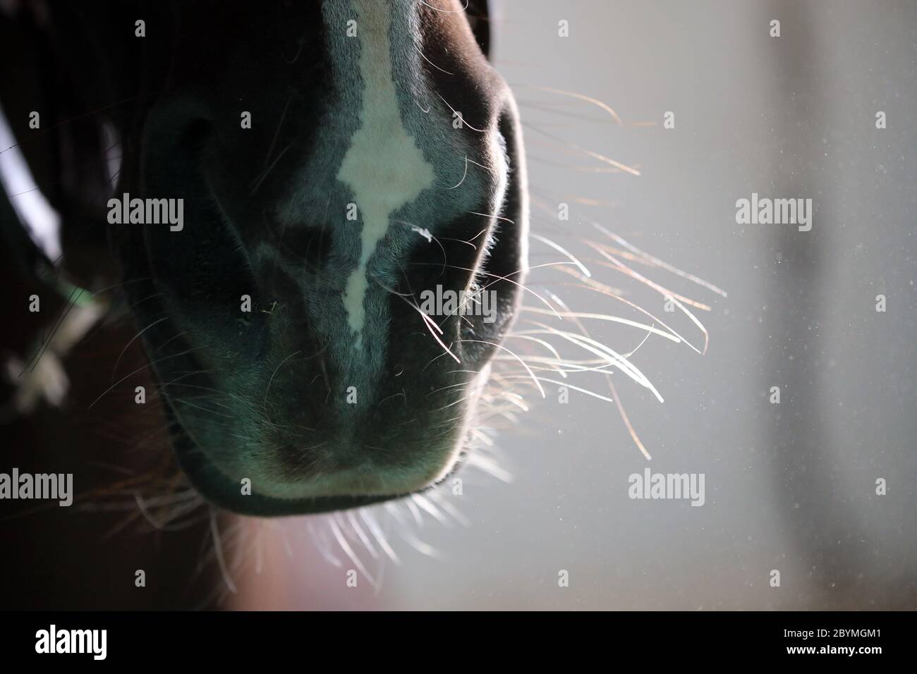 To nuestern hi-res stock photography and images - Alamy