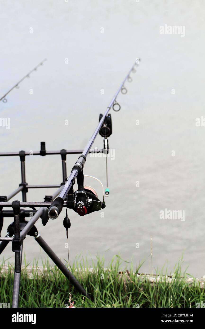 Fish and rod hi-res stock photography and images - Alamy