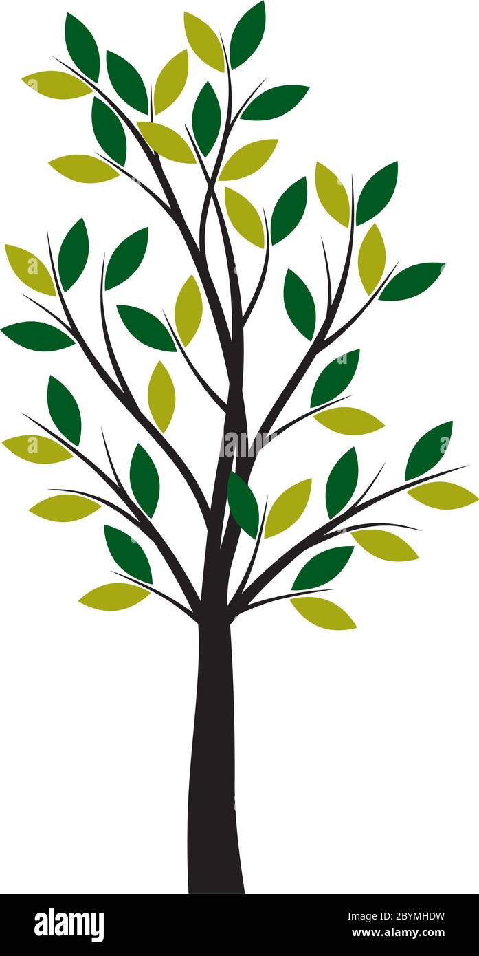 Green Spring and decoration Tree. Vector outline Illustration. Plant in ...