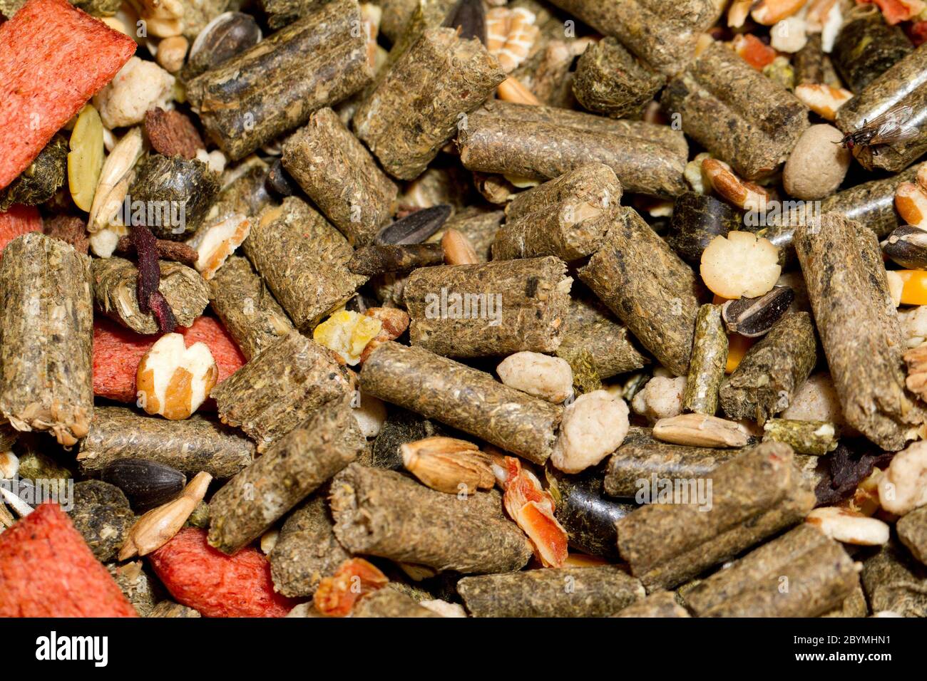 Nutritious hamster food hi-res stock photography and images - Alamy