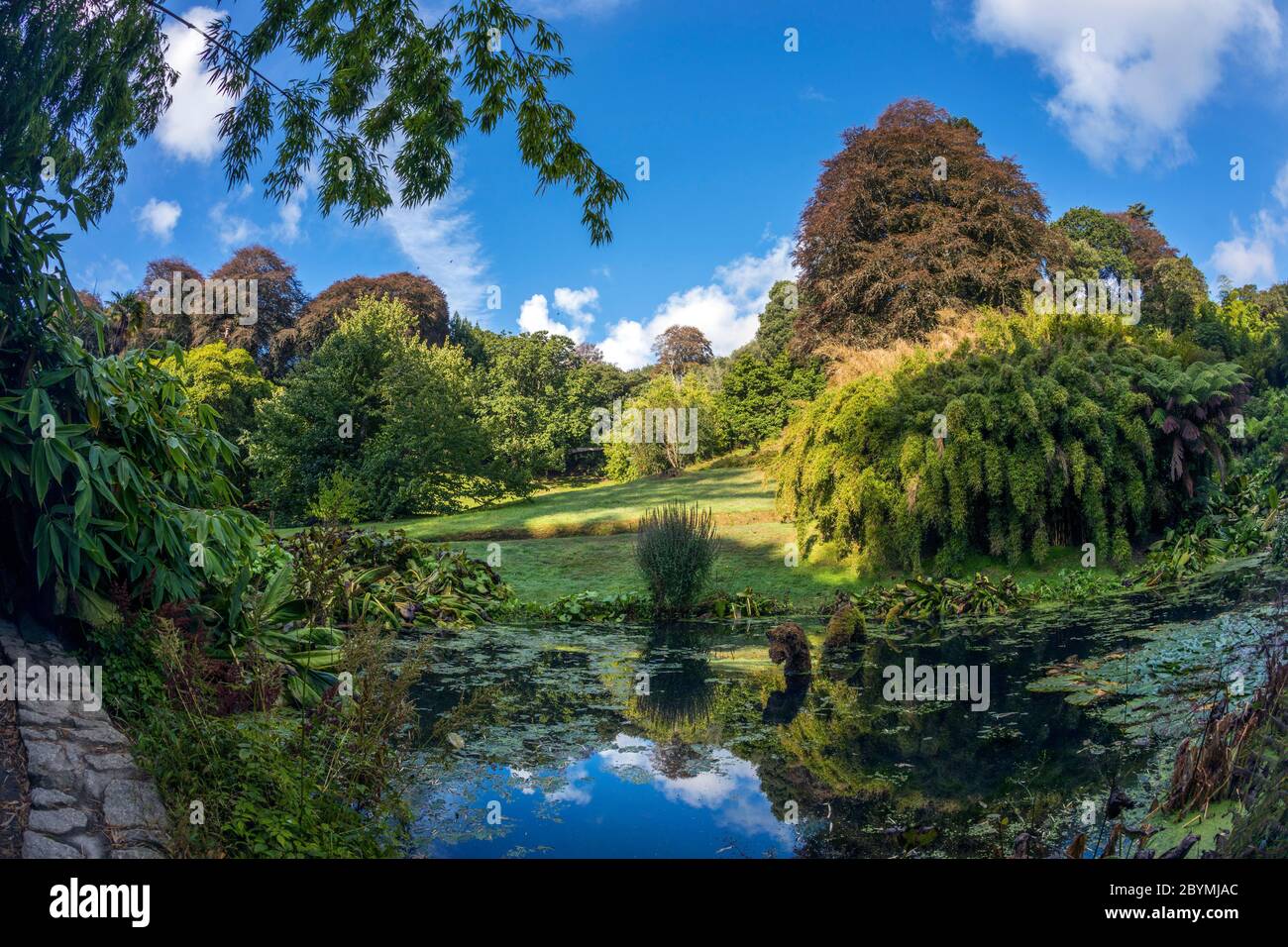 Bamboo garden pond hi-res stock photography and images - Alamy
