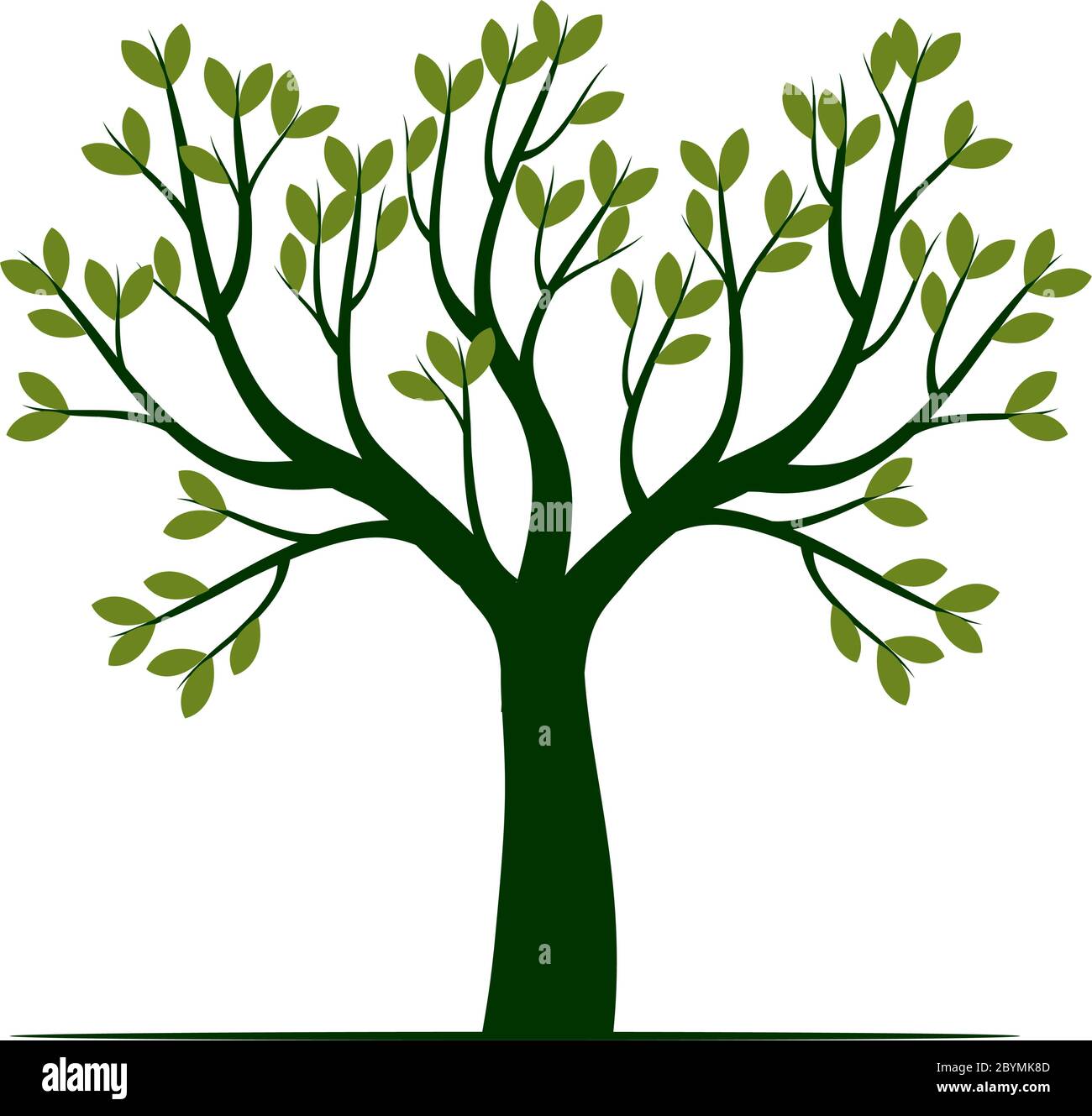 Green Spring and decoration Tree. Vector outline Illustration. Plant in ...