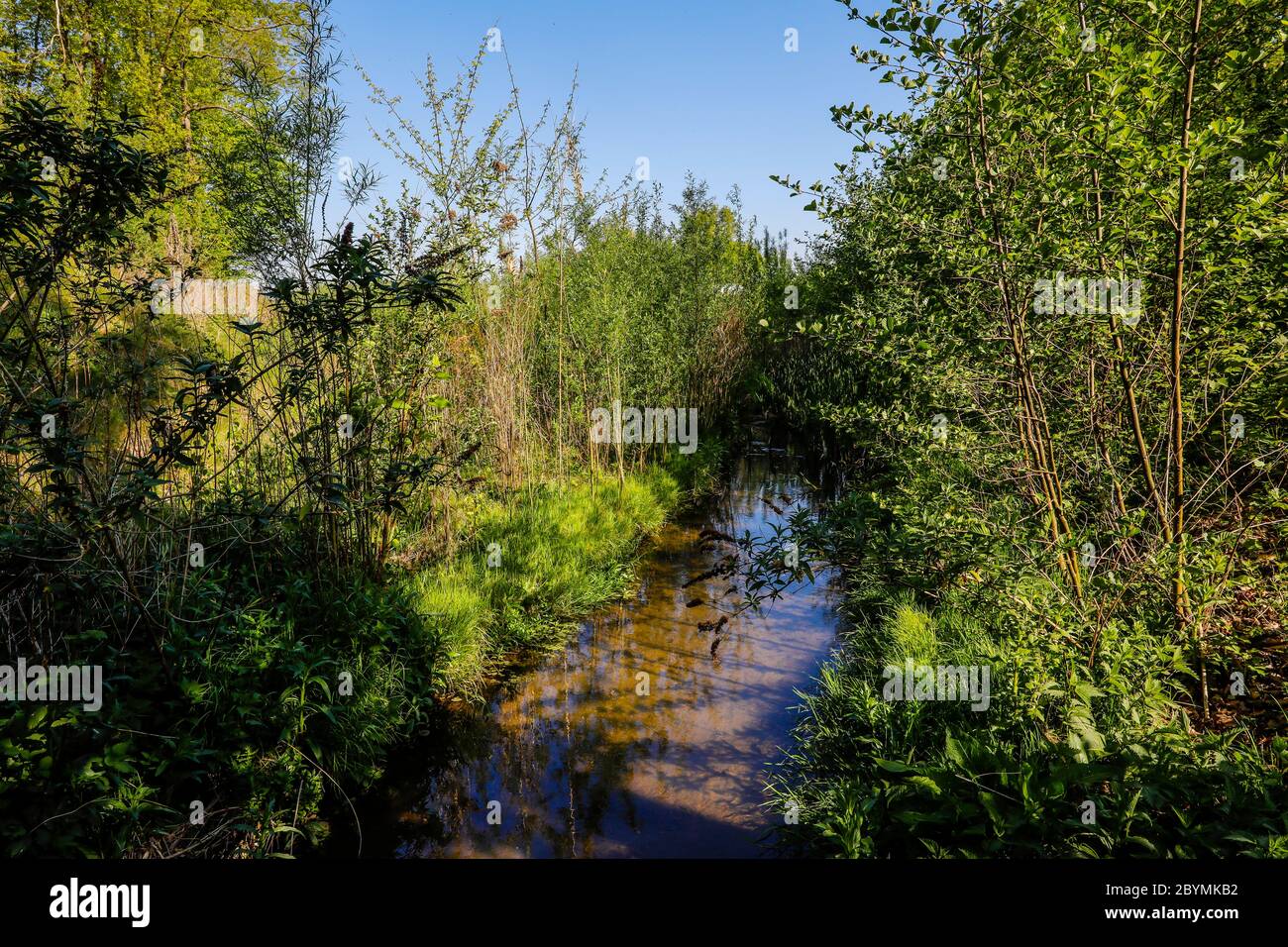 Meandering streambed hi-res stock photography and images - Alamy