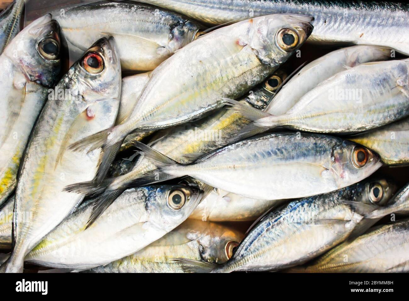 fresh sea fish, the fish market Stock Photo - Alamy