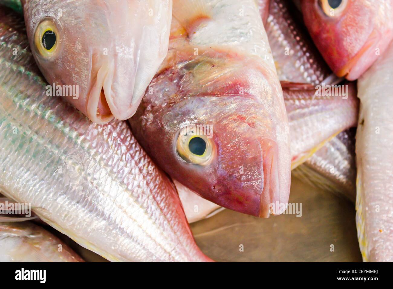 fresh sea fish, the fish market Stock Photo - Alamy