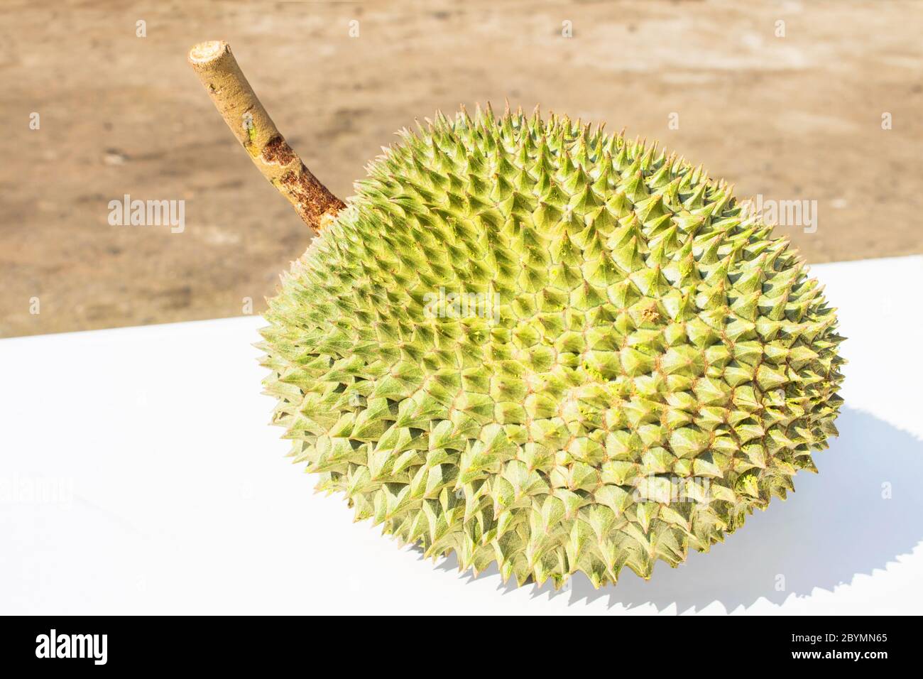 delicious fresh durian isolated Stock Photo - Alamy