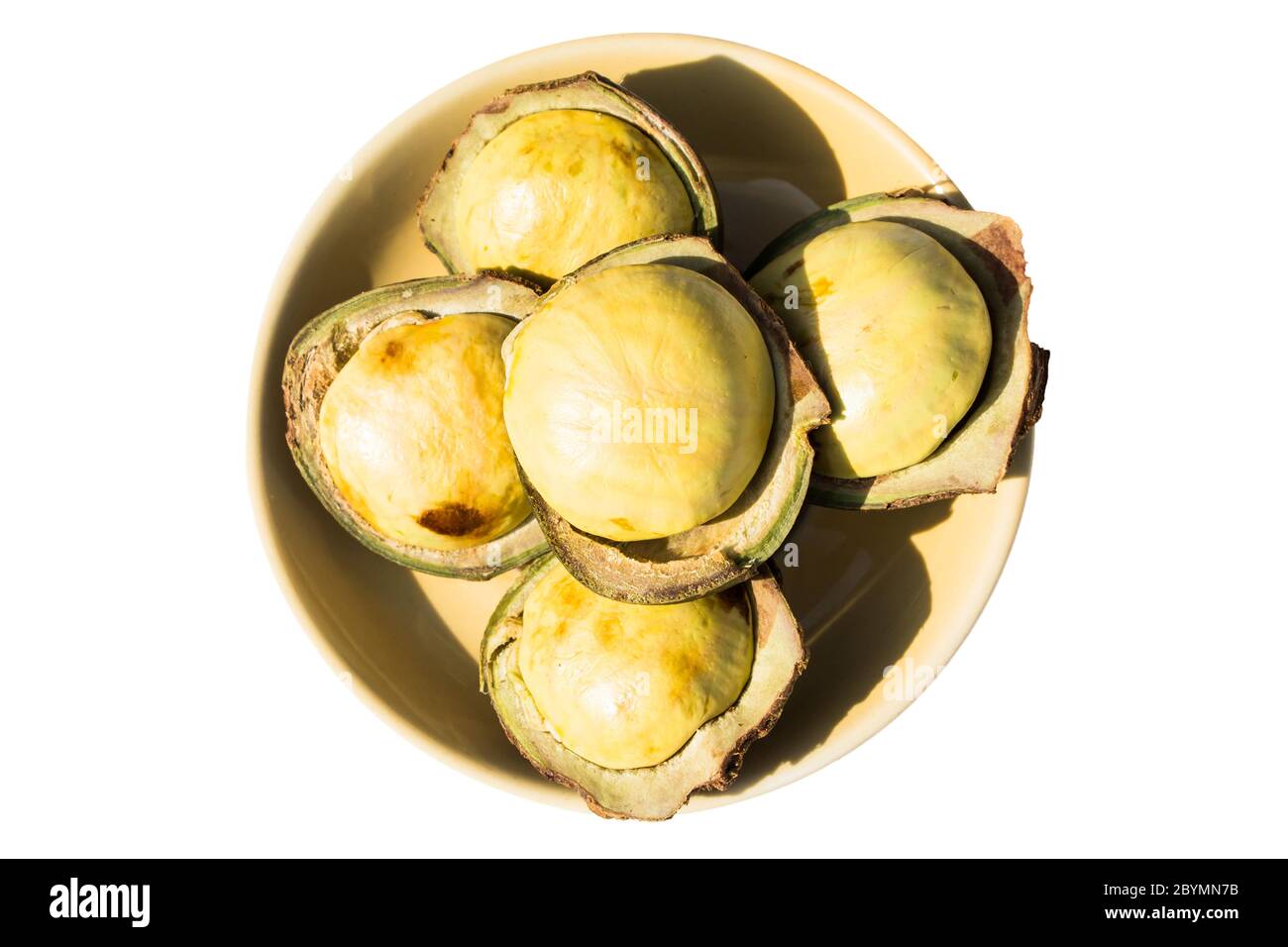 luk nieng, djenkol bean fruit isolated on white background Stock Photo ...
