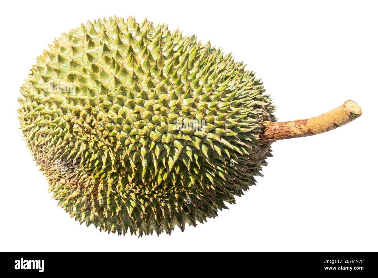 delicious fresh durian isolated on white background Stock Photo - Alamy