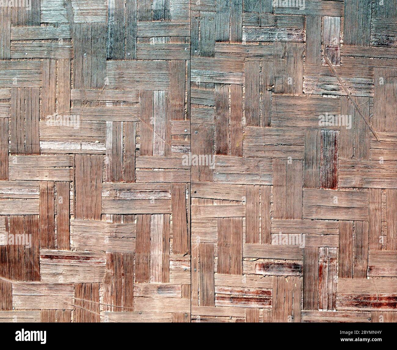 Bamboo patch hi-res stock photography and images - Alamy