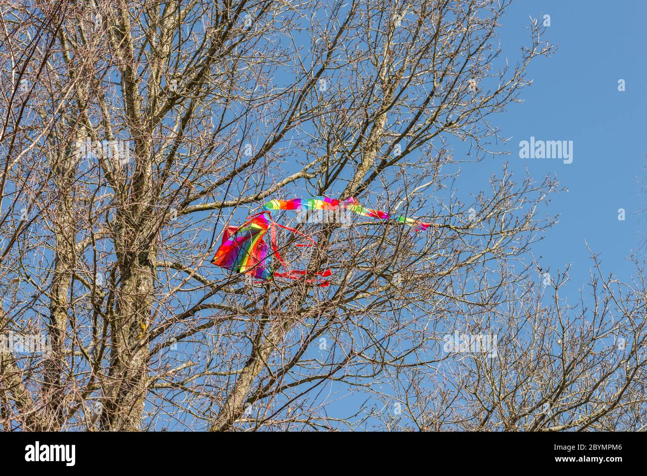 Kite stuck in tree hi-res stock photography and images - Alamy