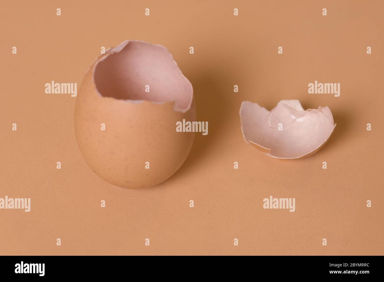 Broken empty brown eggshell Stock Photo - Alamy