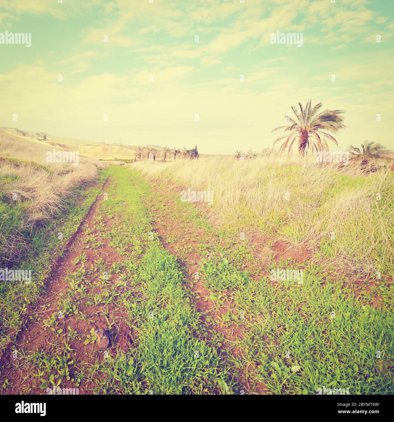 Overgrown road hi-res stock photography and images - Alamy