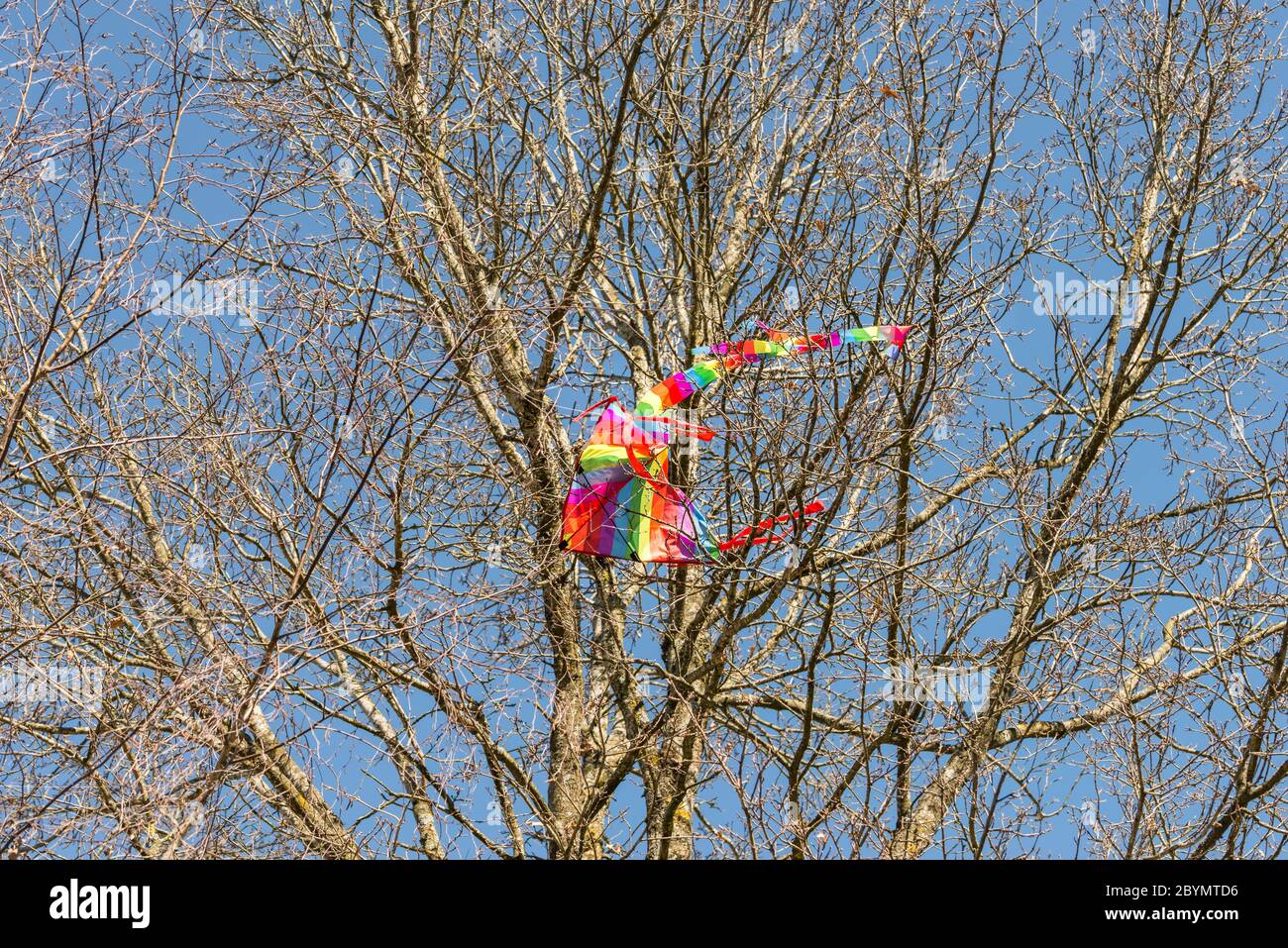 Kite stuck in tree hi-res stock photography and images - Alamy
