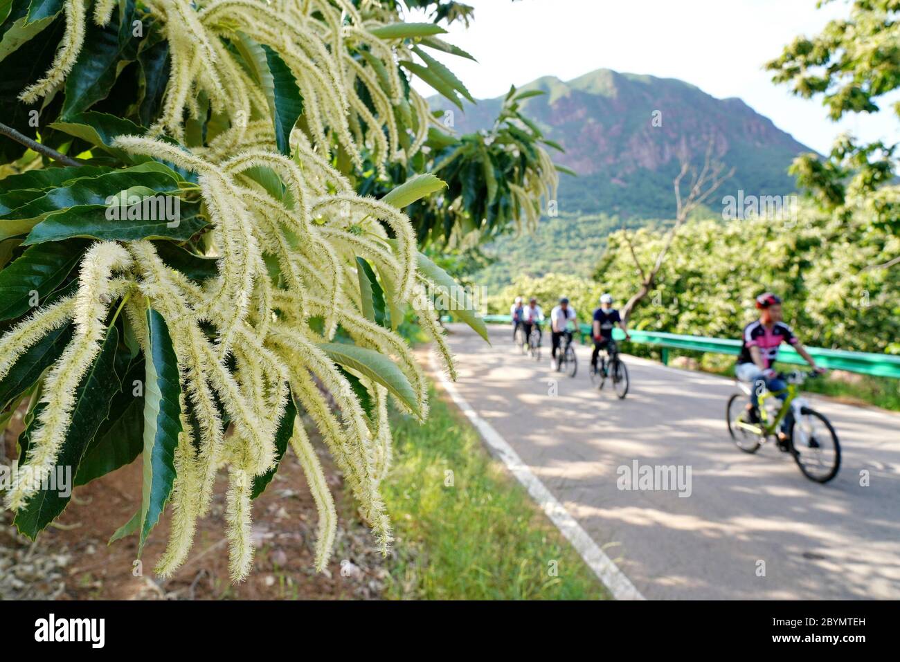 Township of chestnut hi-res stock photography and images - Alamy