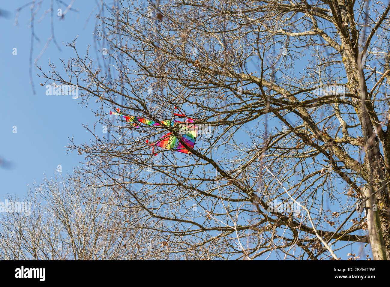 Kite stuck in tree hi-res stock photography and images - Alamy