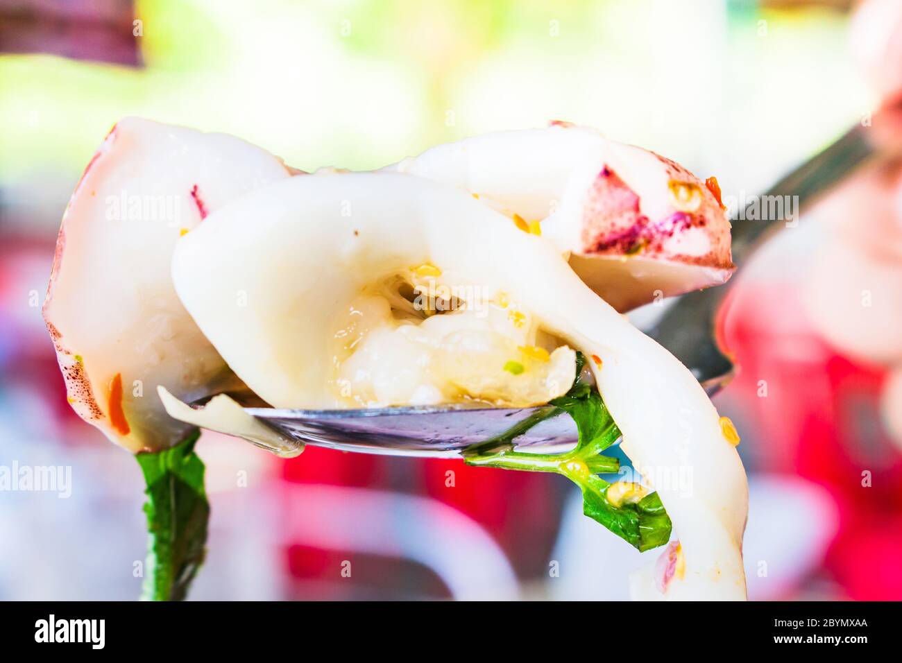 steam squid eggs salad with spicy lemon juice soup, samui thailand ...