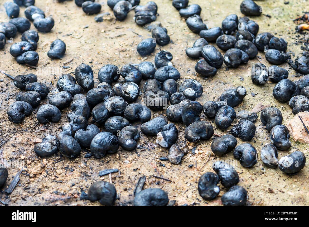 thai tradition cashew nut burned from stove charcoal with hot smoke on ...