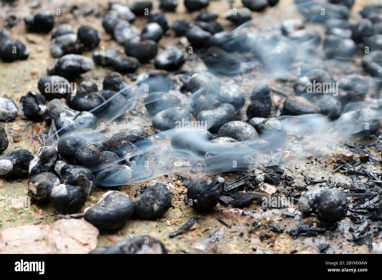 thai tradition cashew nut burned from stove charcoal with hot smoke on ...
