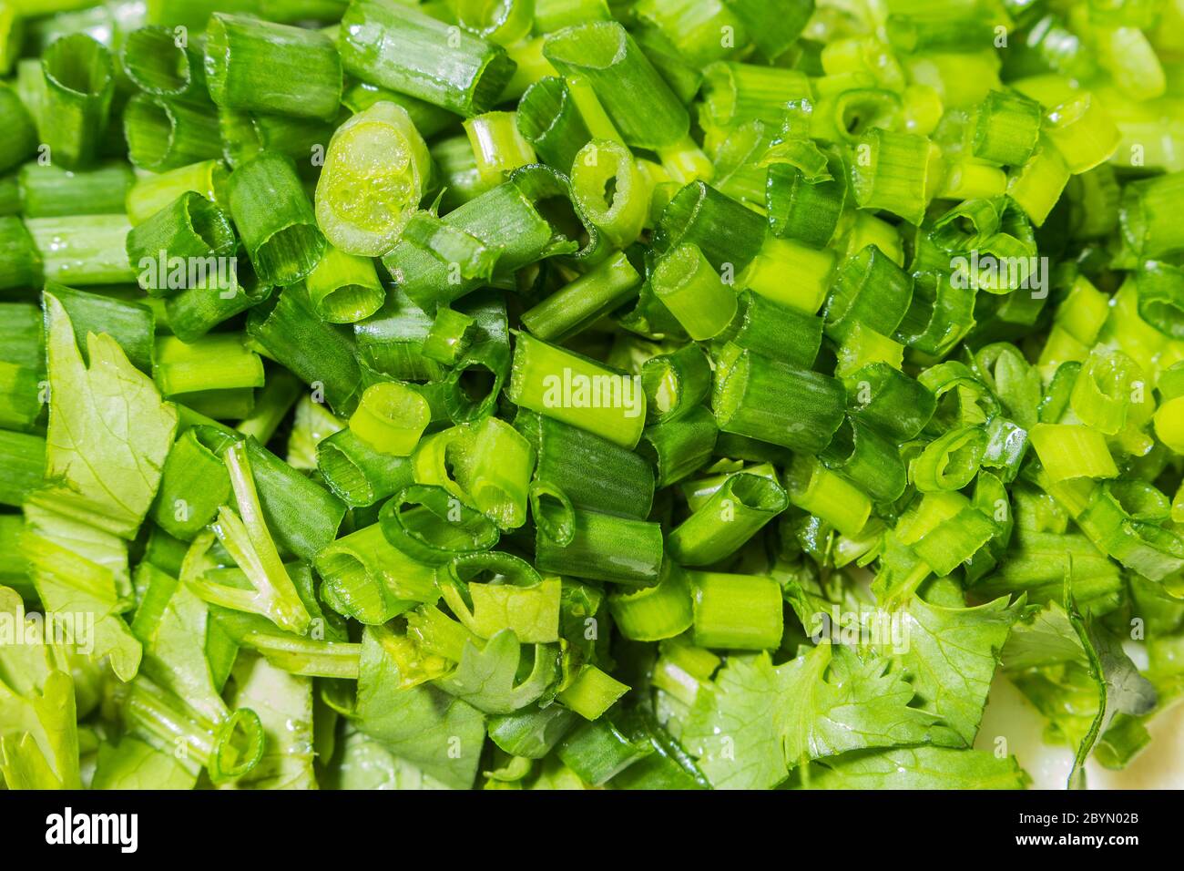 spring onion and coriander sliced for garnish Stock Photo - Alamy