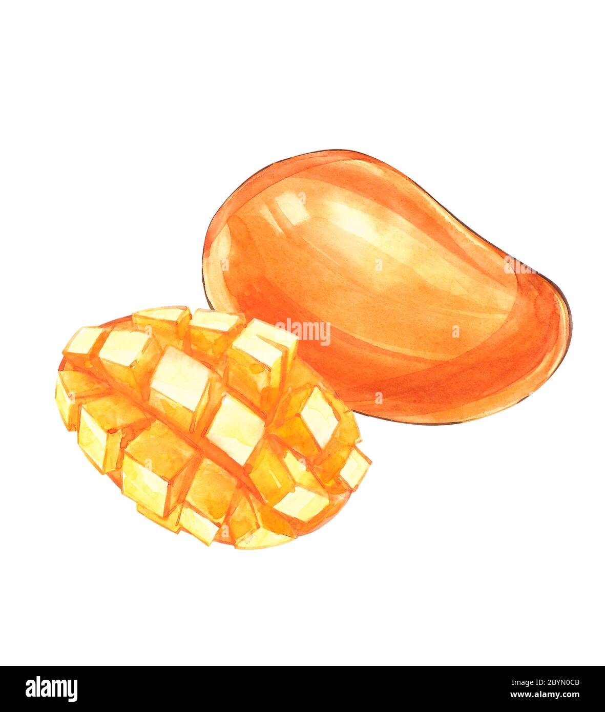 Mango cubes vintage design template. Watercolor botanical illustration ...