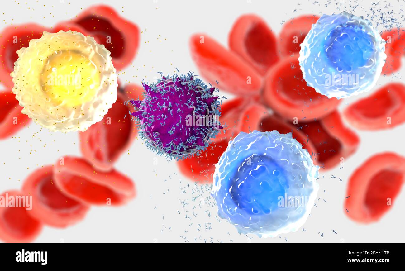 Leukocytes microscope hi-res stock photography and images - Alamy