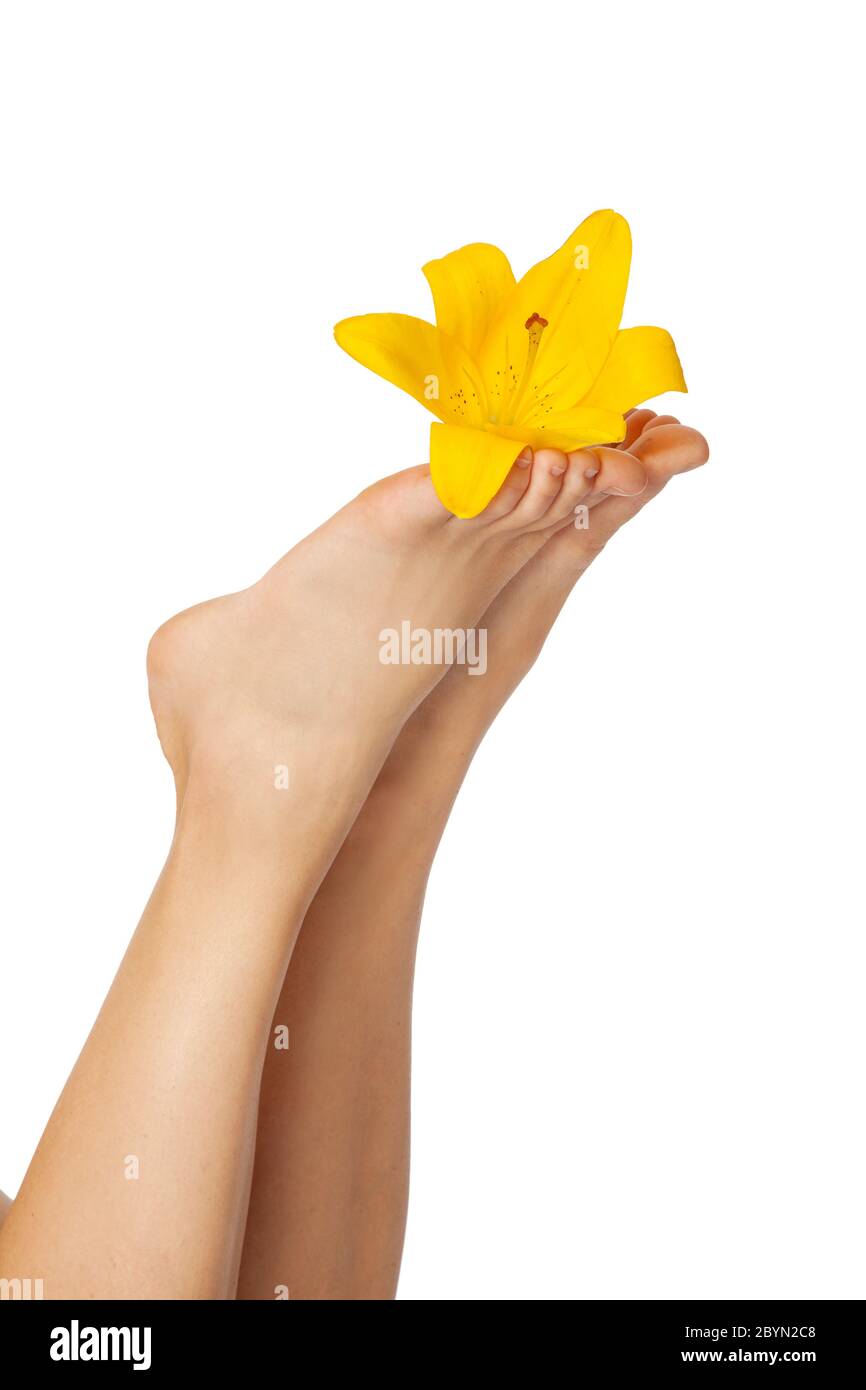 Beautiful woman legs with flower , isolated on white Stock Photo - Alamy