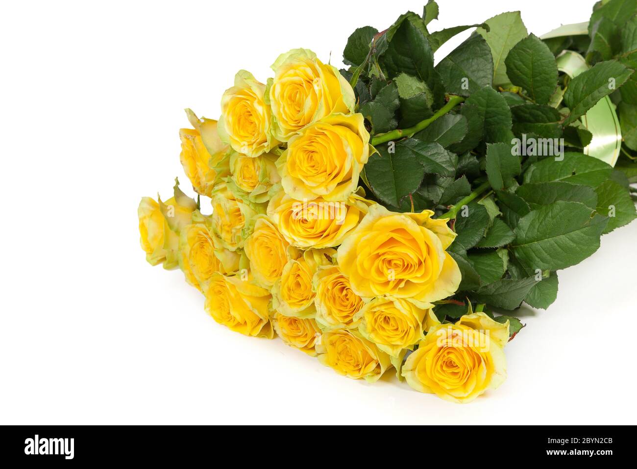 Group of fresh yellow roses Stock Photo - Alamy