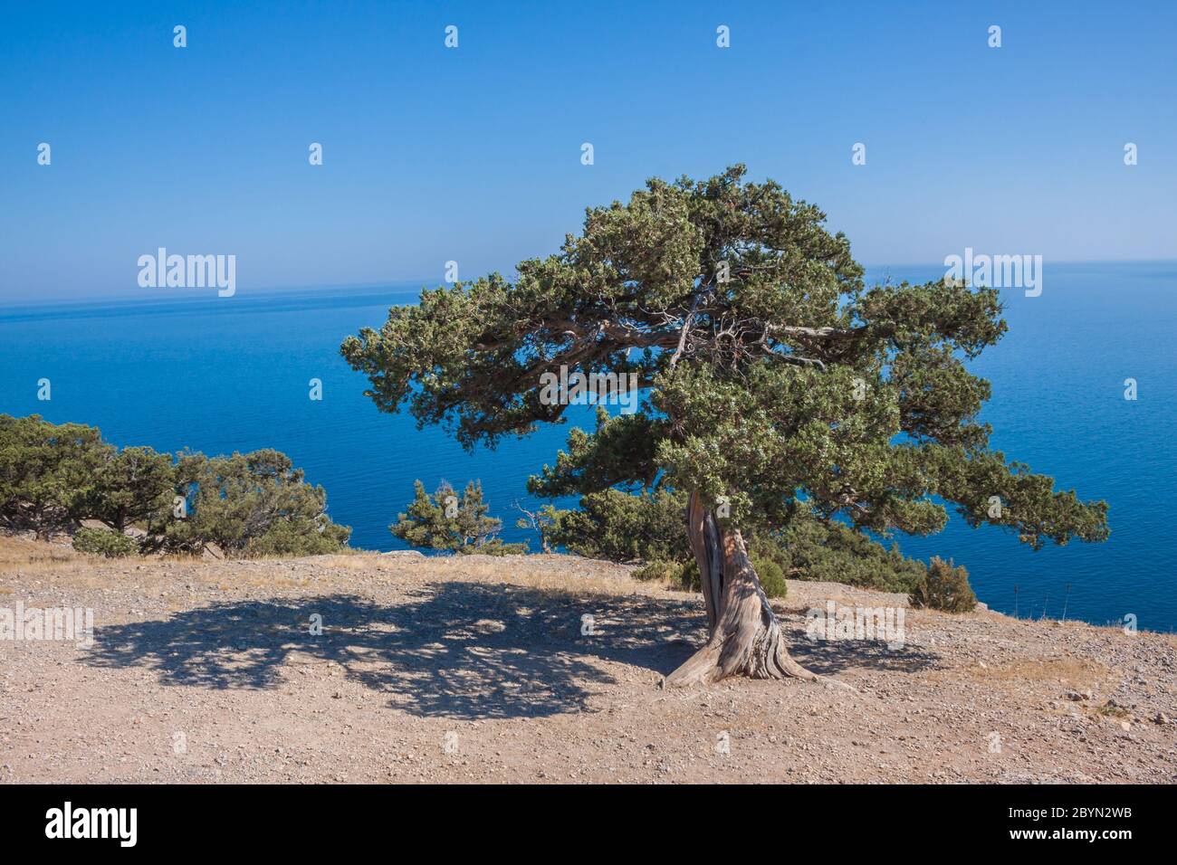 Summer view seacoast. Sudak beach. Black Sea, Ukraine Stock Photo - Alamy