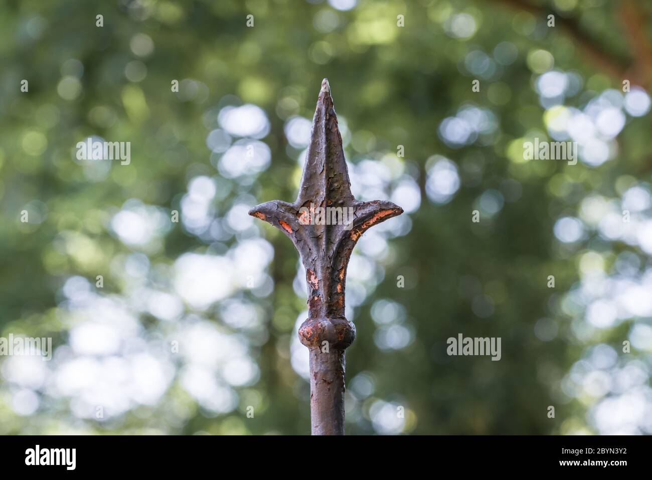 Close-up of a forged fence tip and gate tip made of wrought iron of a ...