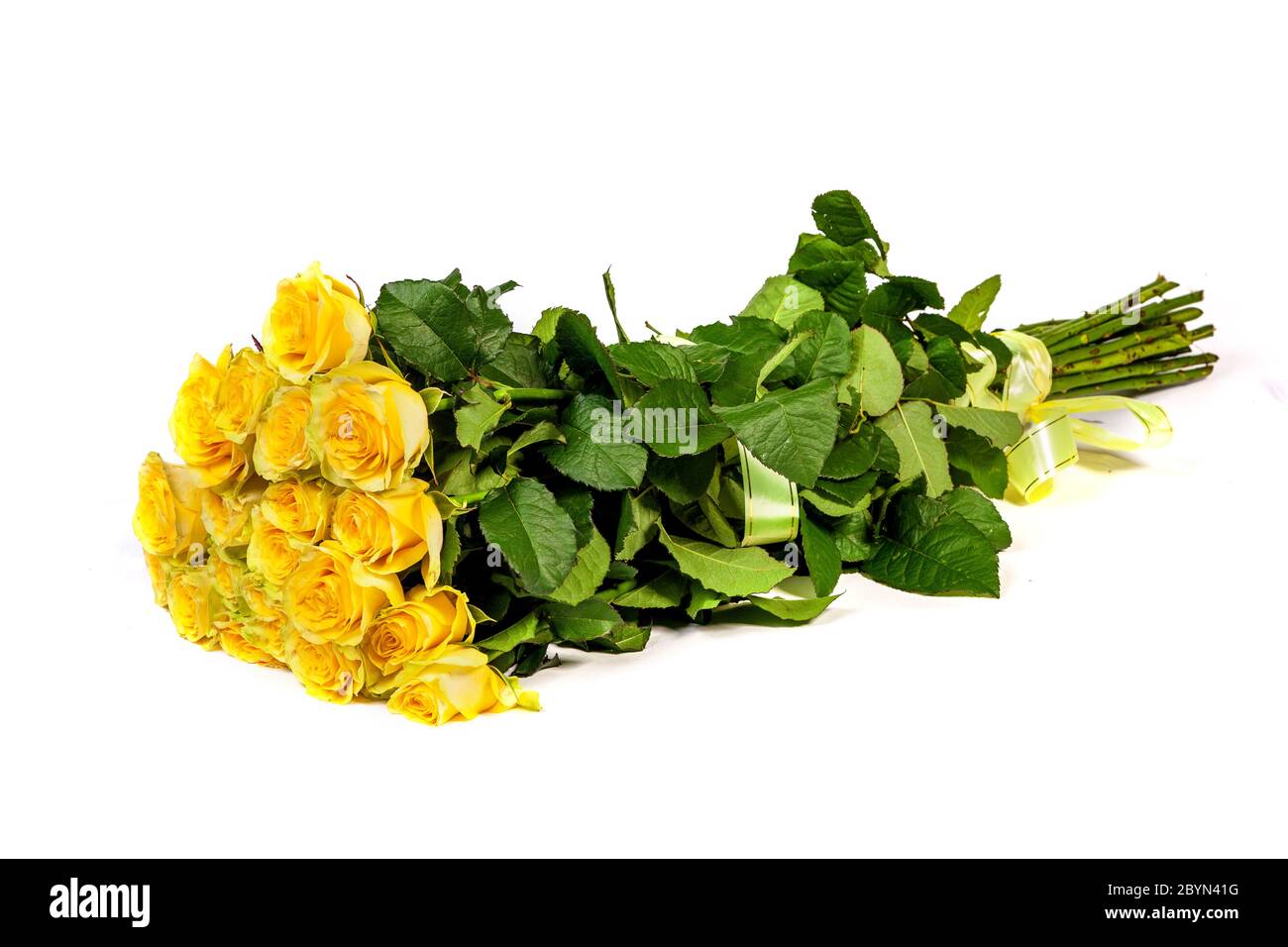 Group of fresh yellow roses Stock Photo - Alamy