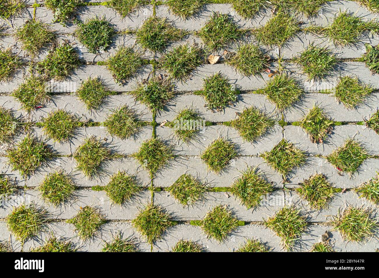 Grass Background Tile