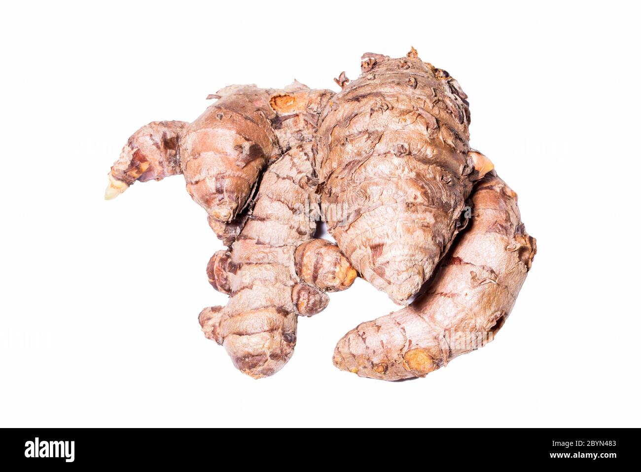 turmeric nature isolated on white background Stock Photo - Alamy