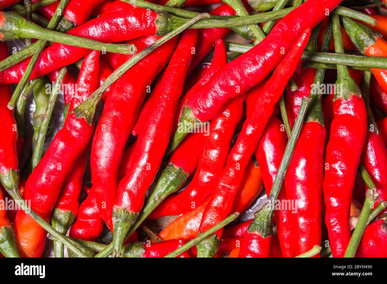 red hot bird chili pepper nature background Stock Photo - Alamy