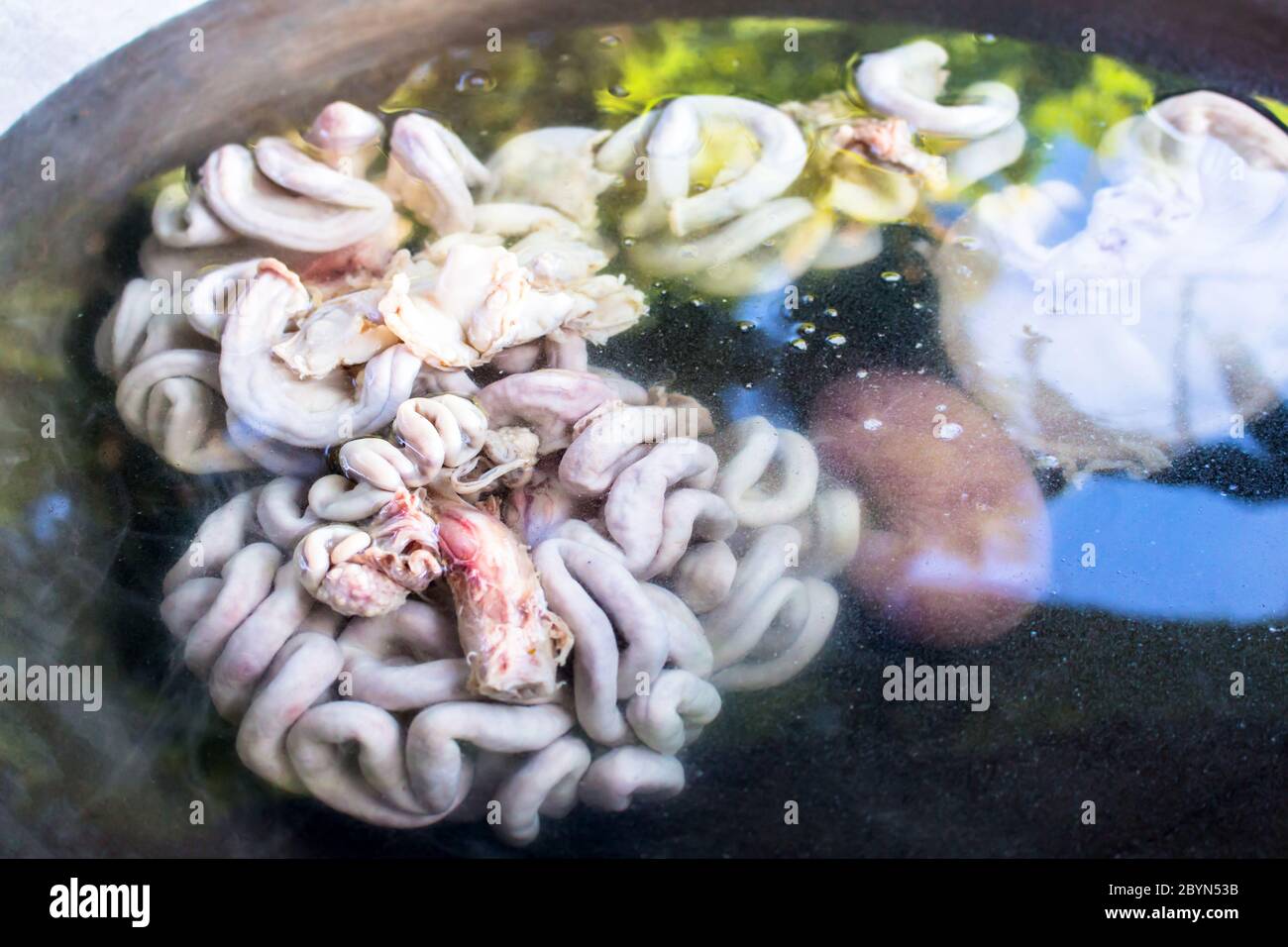 fresh entrails pig is boiling with hot water at slaughterhouse in ...