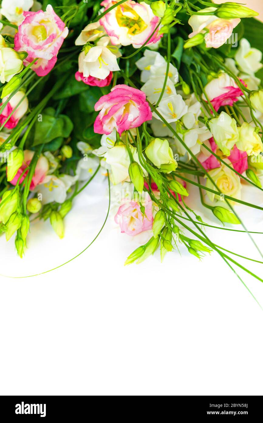 spring flowers background on white background Stock Photo - Alamy