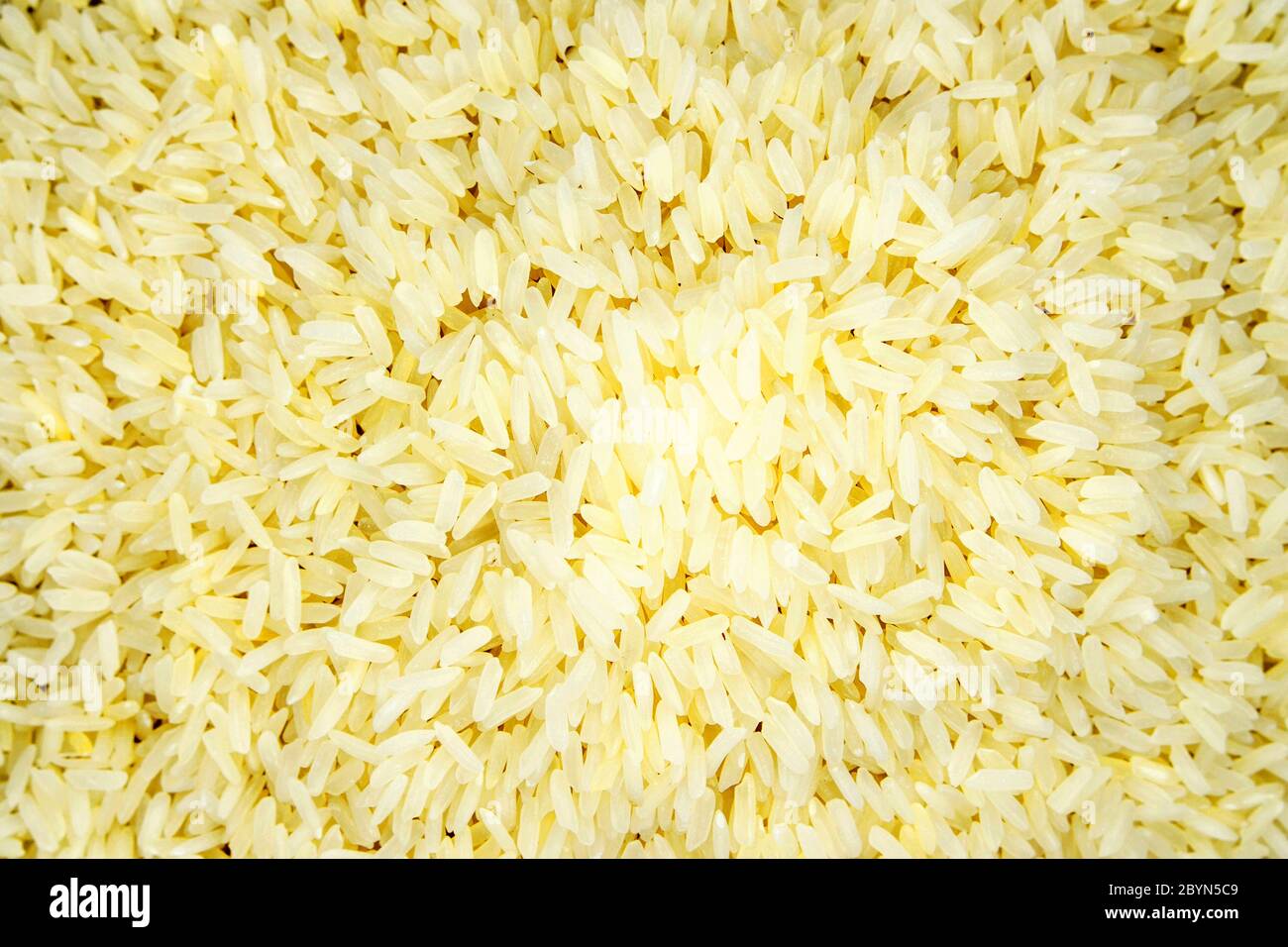 thai raw rice isolated white background Stock Photo - Alamy