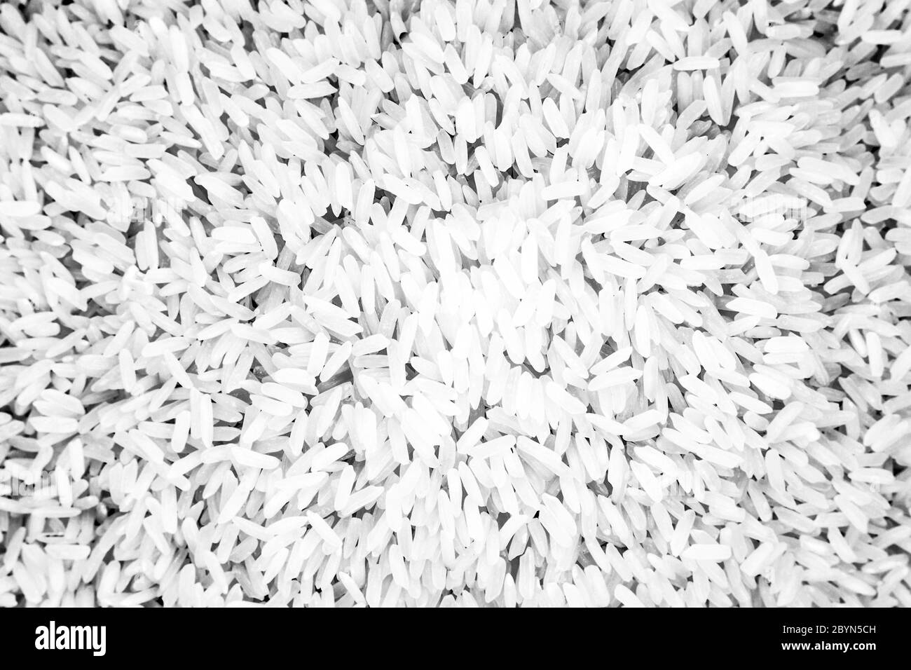 Raw parboiled rice heap Black and White Stock Photos & Images - Alamy