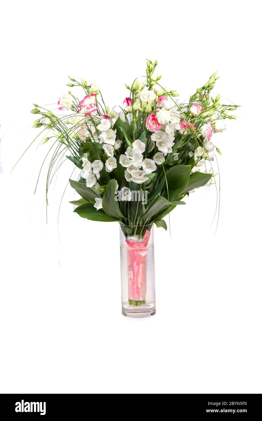 spring flowers background on white background Stock Photo - Alamy