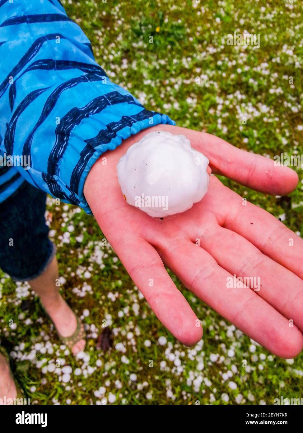 A baseball sized hailstone in hands after hailstorm. Close-up shot on ...