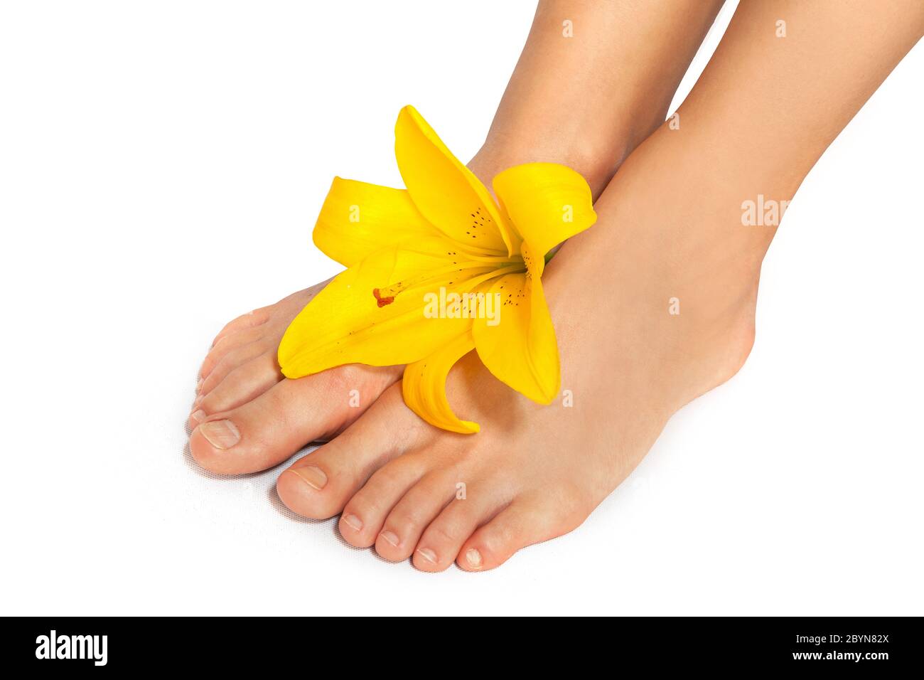 Beautiful woman legs with flower , isolated on white Stock Photo - Alamy