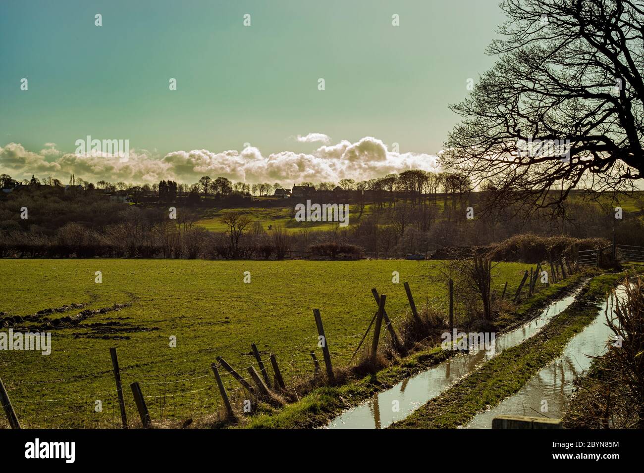Wet Fields in the English Countryside (Wide with Dirt Road Stock Photo ...
