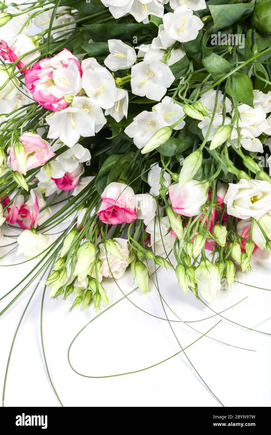 spring flowers background on white background Stock Photo - Alamy