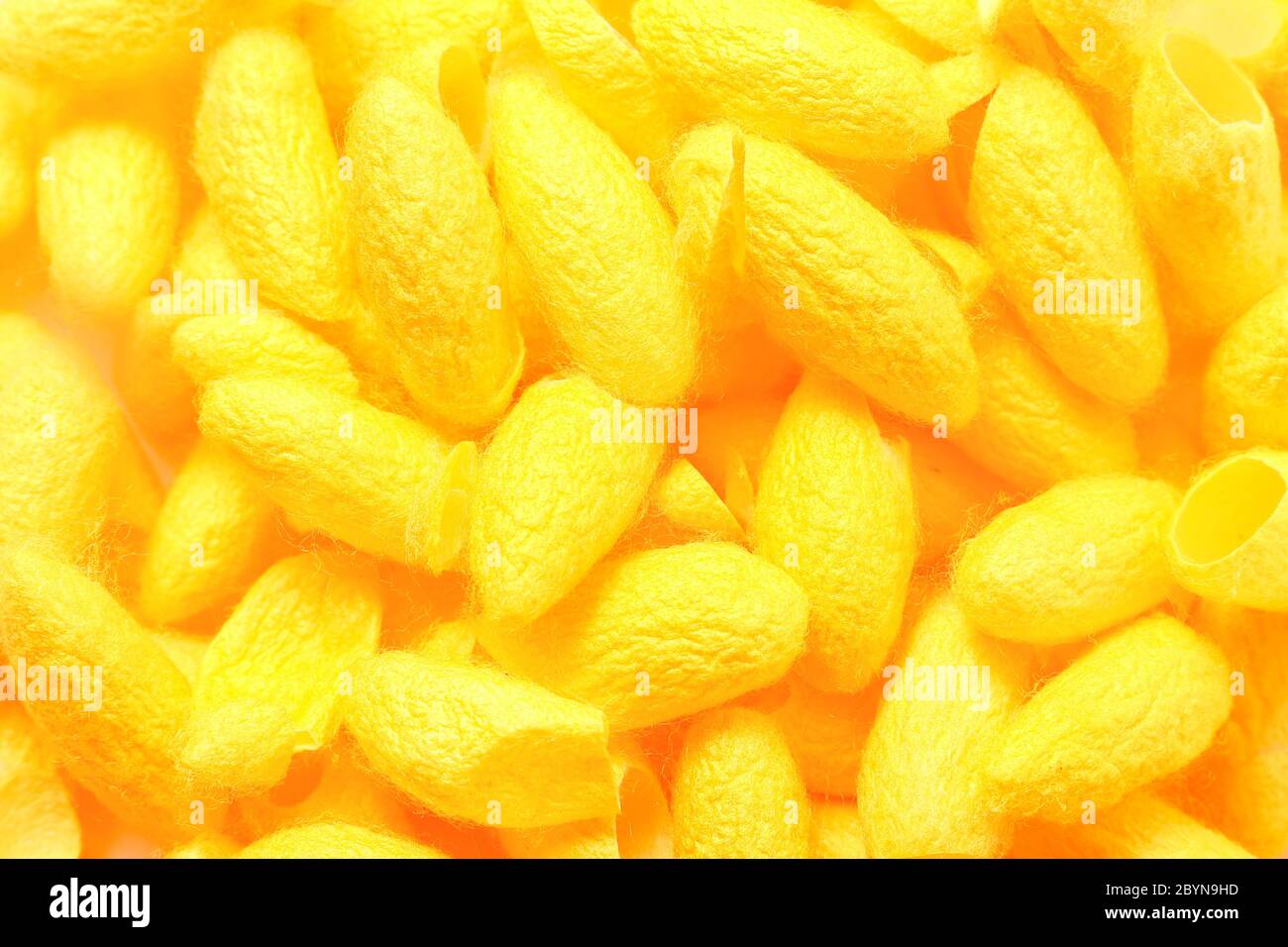 cocoon isolated on white background Stock Photo - Alamy