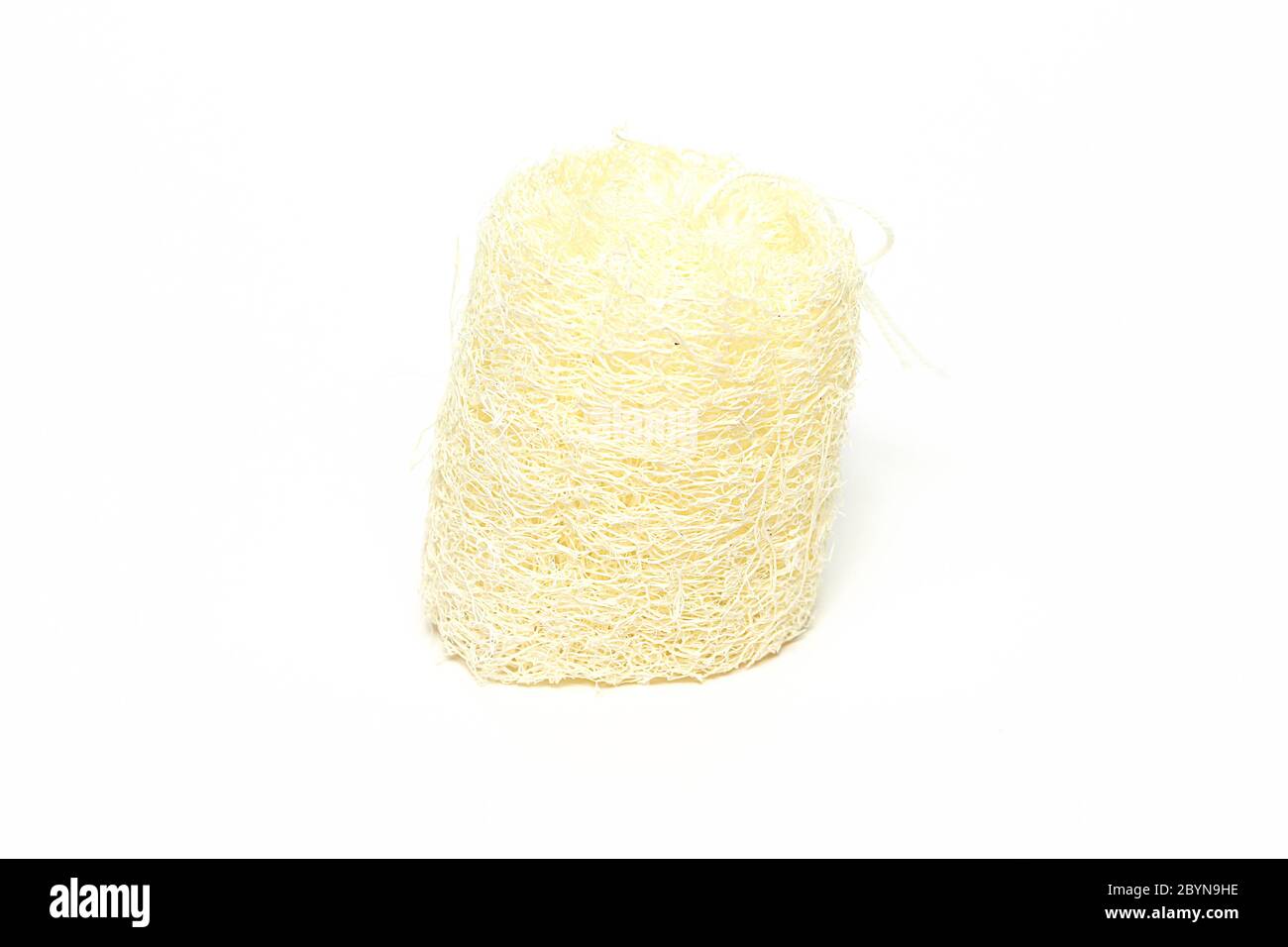 luffa isolated on white background Stock Photo - Alamy