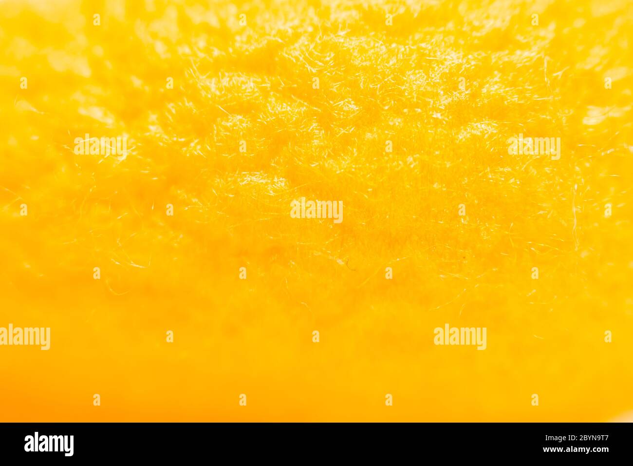 silkworm cocoon texture background Stock Photo - Alamy